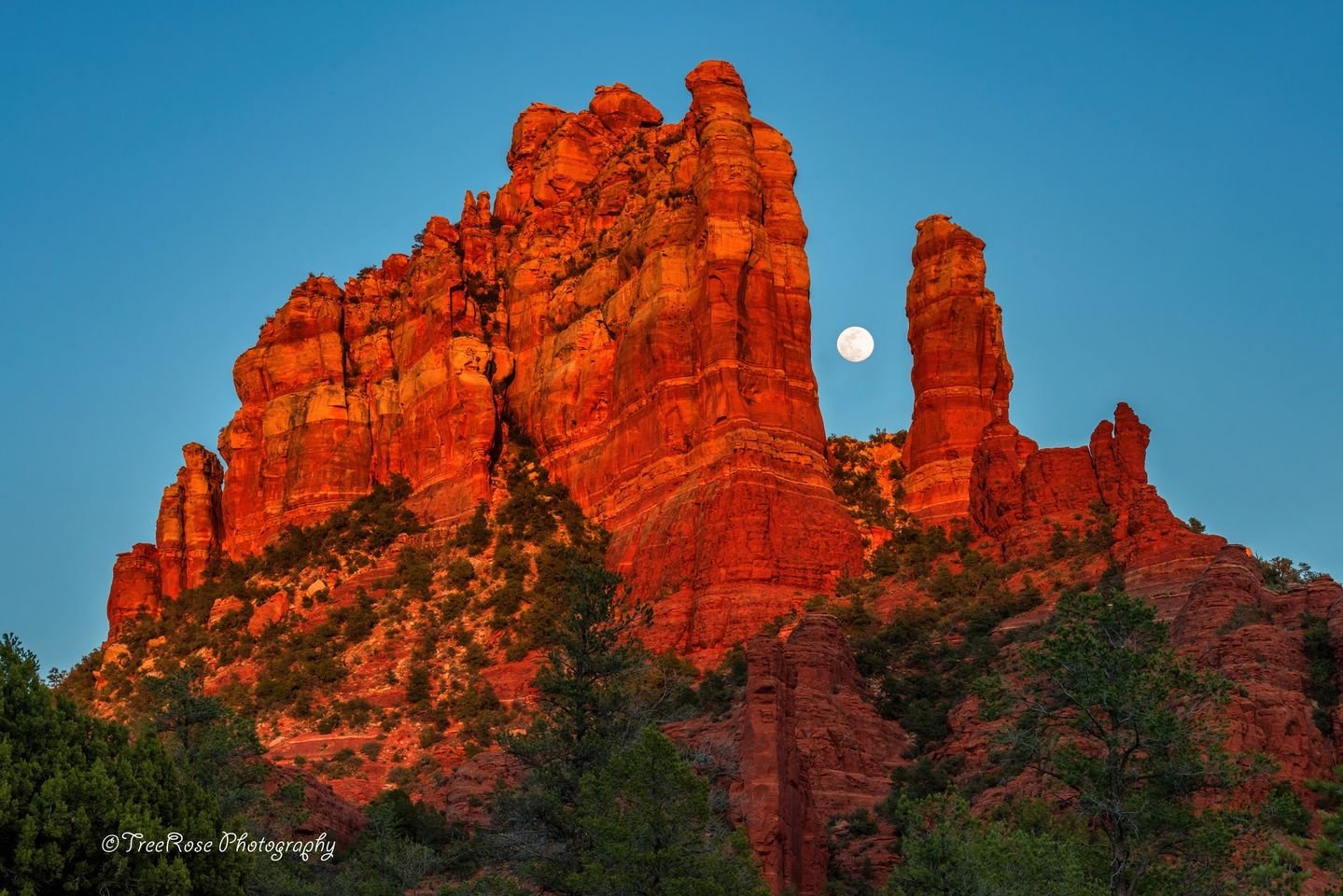 Solve Red Rocks, Sedona, AZ jigsaw puzzle online with 352 pieces