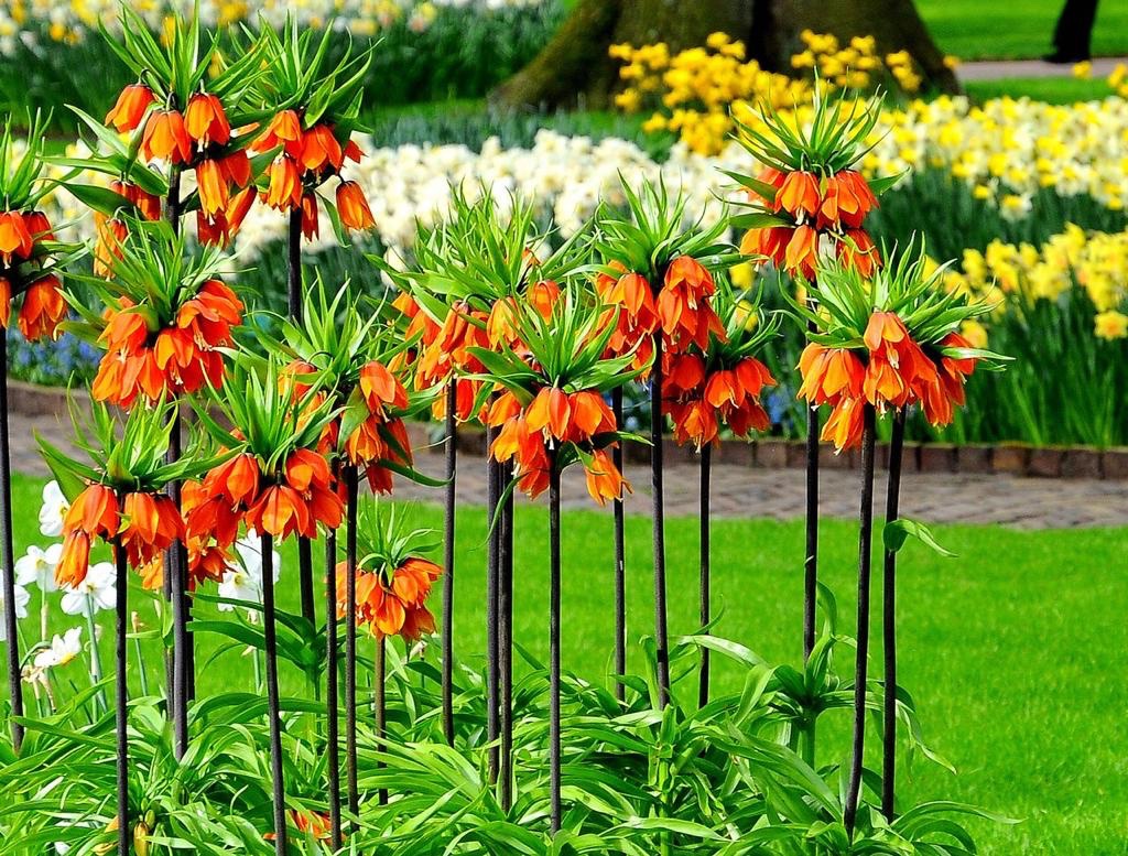 Solve c9d3a57e-606e-4730-be6c-f4d52f9e04d3 jigsaw puzzle online with ...