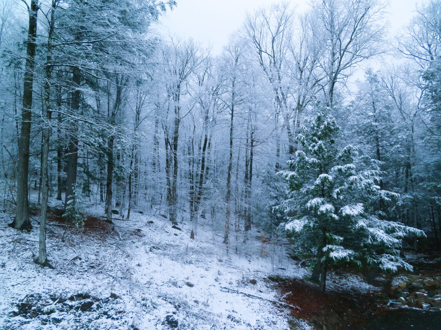 Solve Spring??? jigsaw puzzle online with 20 pieces