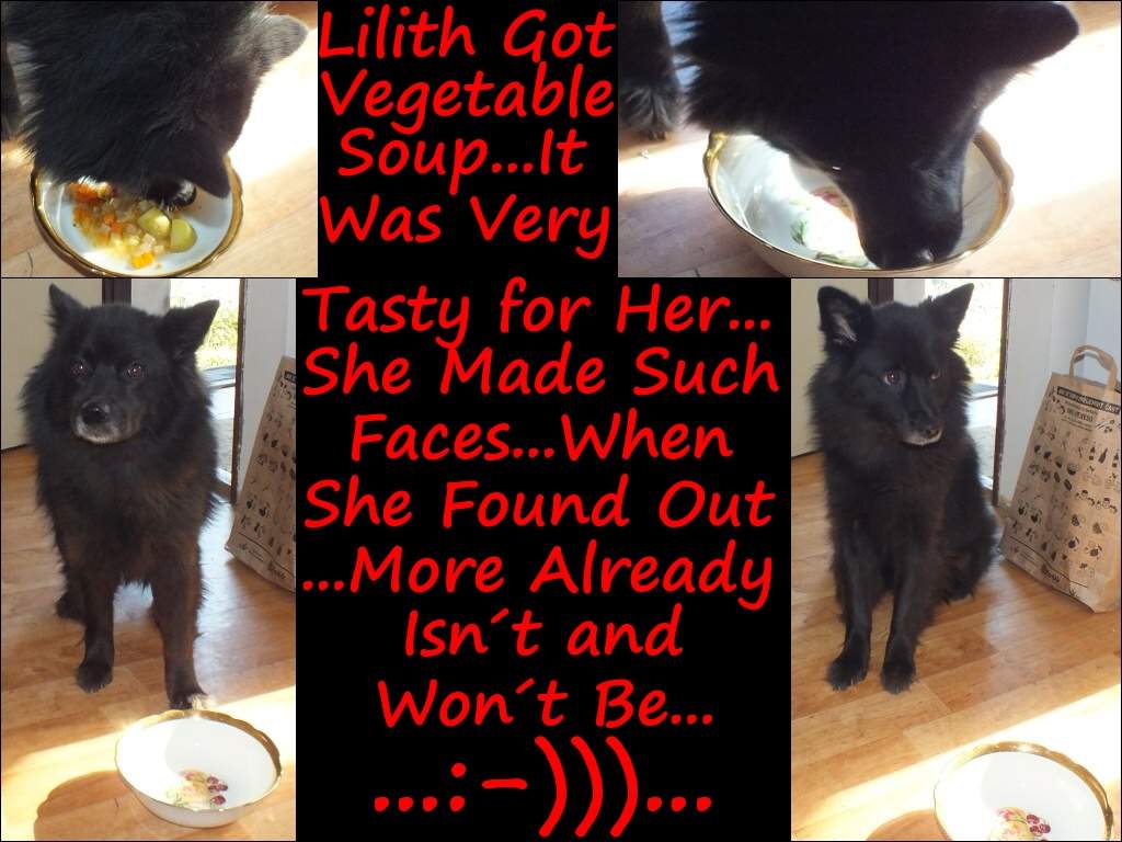 Solve Lilith and Vegetable Soup...:-)))... jigsaw puzzle online with 63 ...