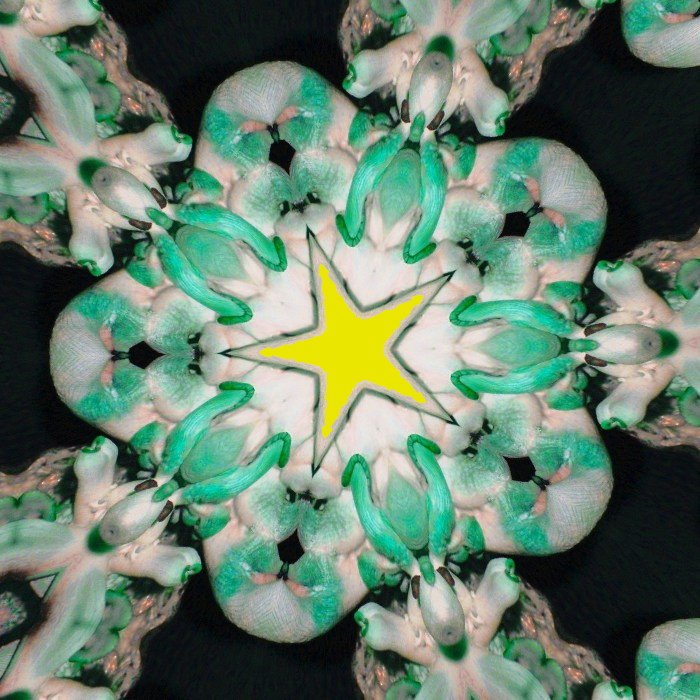 Solve Alien Bugs on Their Way to the Planet Star! jigsaw puzzle online ...