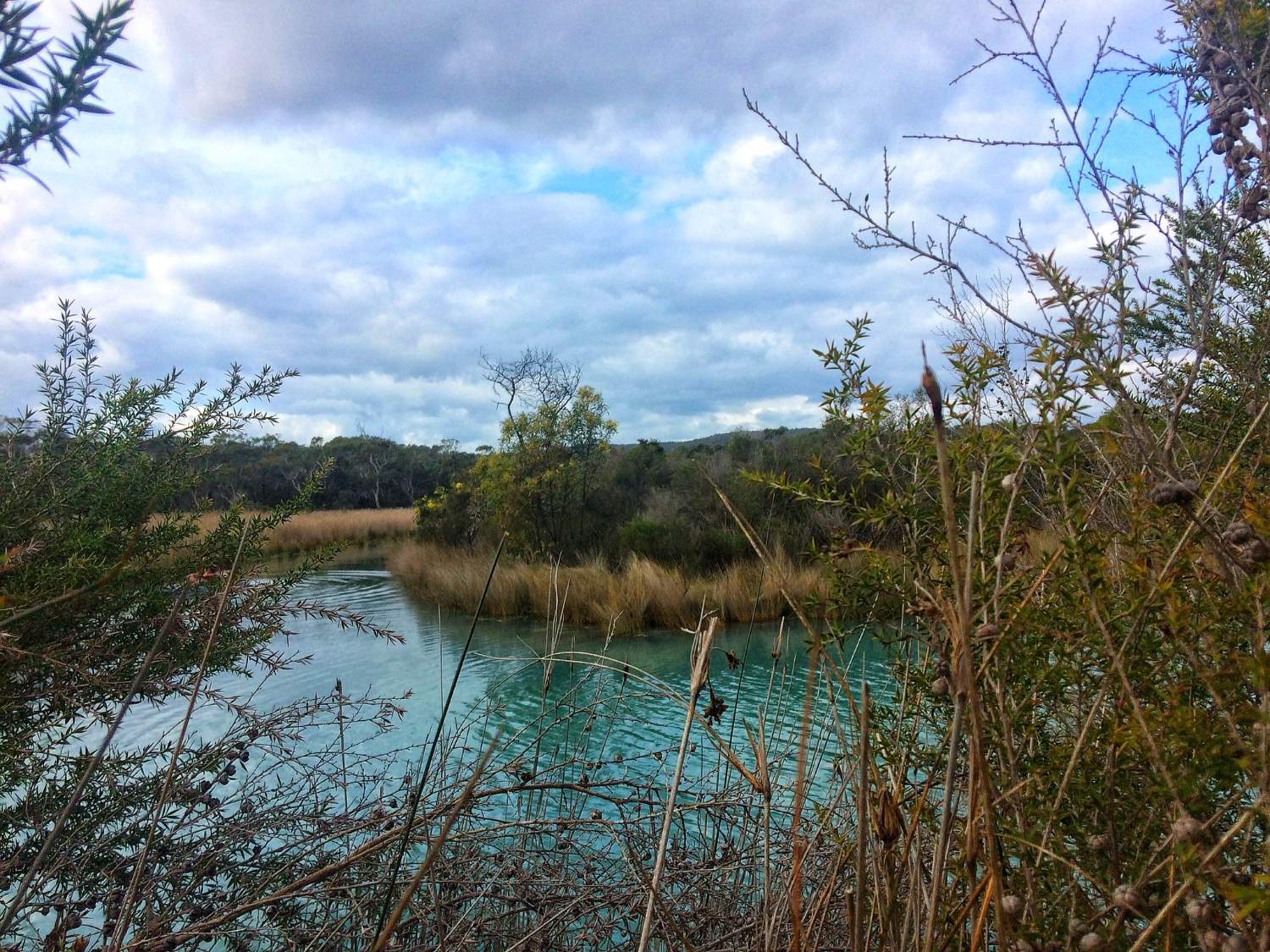 Solve Anglesea Wetlands jigsaw puzzle online with 88 pieces