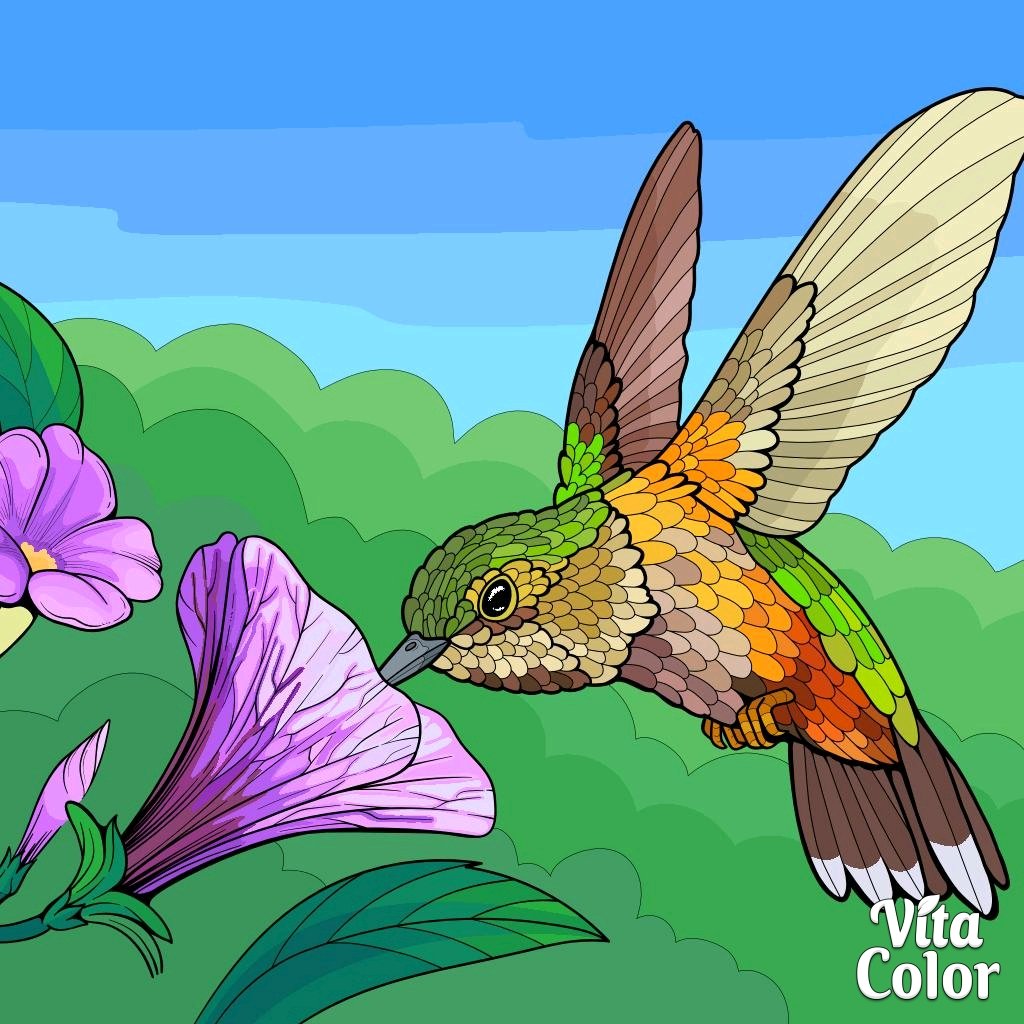 Solve Found one . . . . . jigsaw puzzle online with 49 pieces