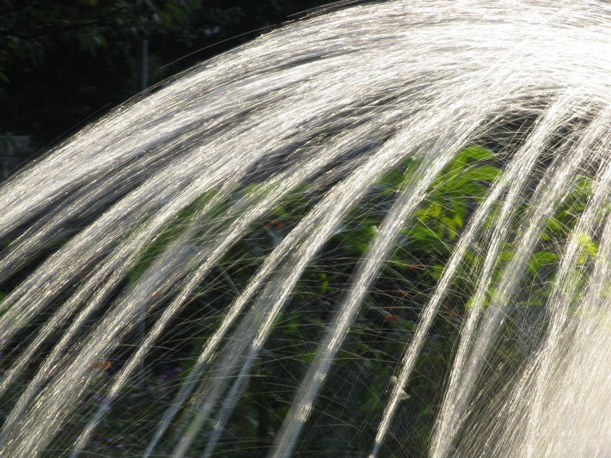 Solve Water jigsaw puzzle online with 108 pieces