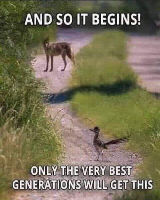 Solve Meep-peep jigsaw puzzle online with 20 pieces