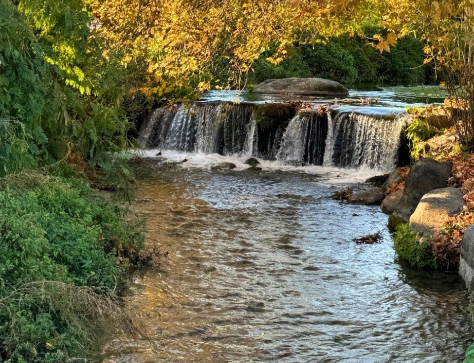 Solve Pretty brook jigsaw puzzle online with 63 pieces