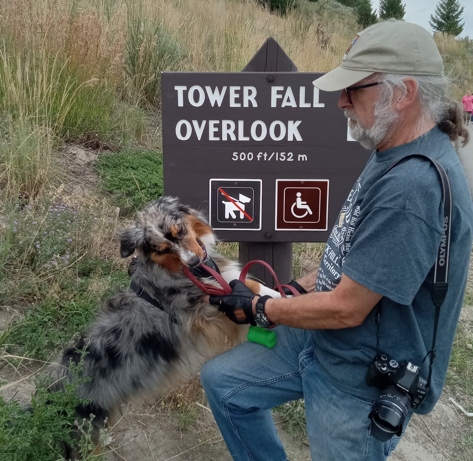 Solve Tower Fall Overlook Yellowstone National Park 2023 jigsaw puzzle ...