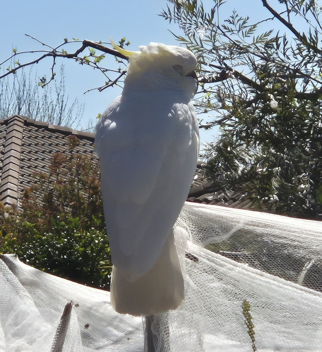 Solve Shhhh.... Someone's Sleeping jigsaw puzzle online with 25 pieces