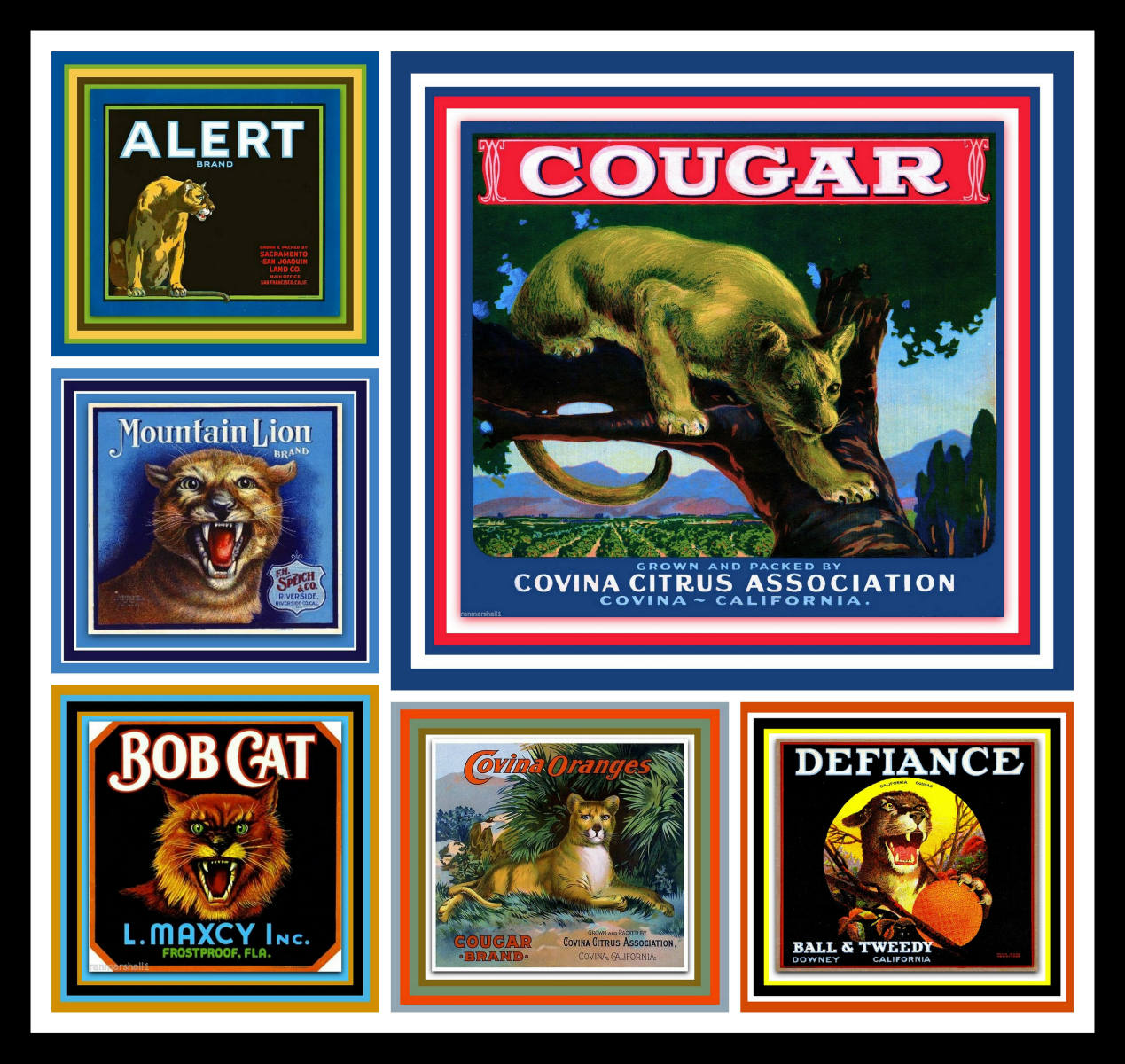 Jigsaw Puzzle | 420 Teile | Vintage Fruit Crate Labels Depicting Wild ...