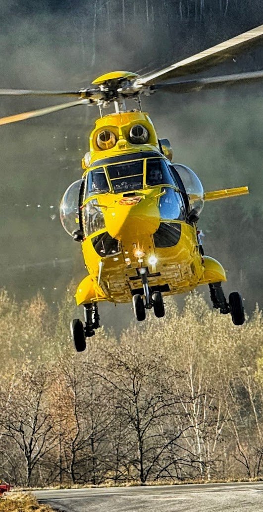 Solve Super Puma jigsaw puzzle online with 72 pieces