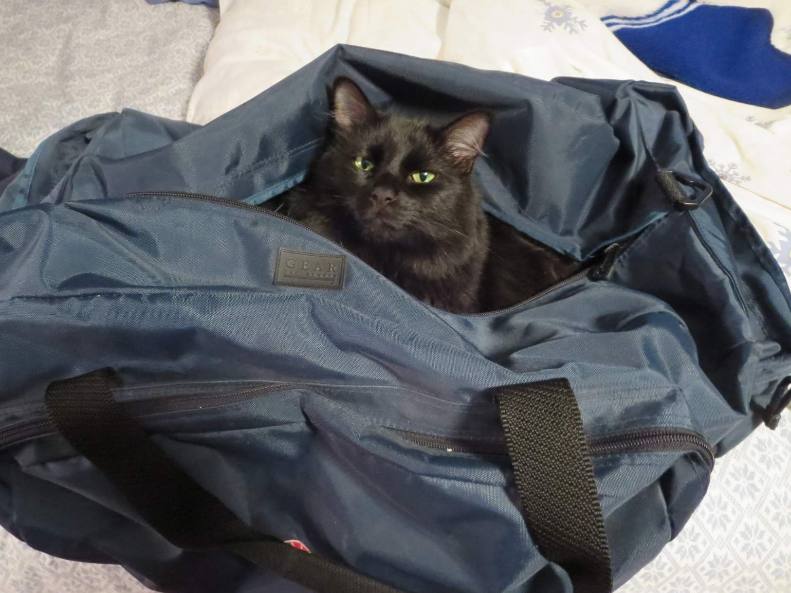 Solve I am packed for vacation jigsaw puzzle online with 130 pieces