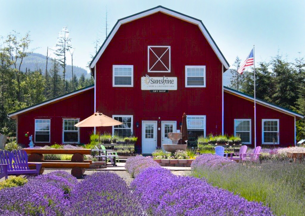 Solve Sunshine Farms jigsaw puzzle online with 88 pieces