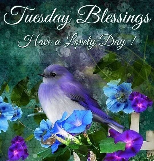 Solve Good Morning - Tuesday Blessings! jigsaw puzzle online with 64 pieces