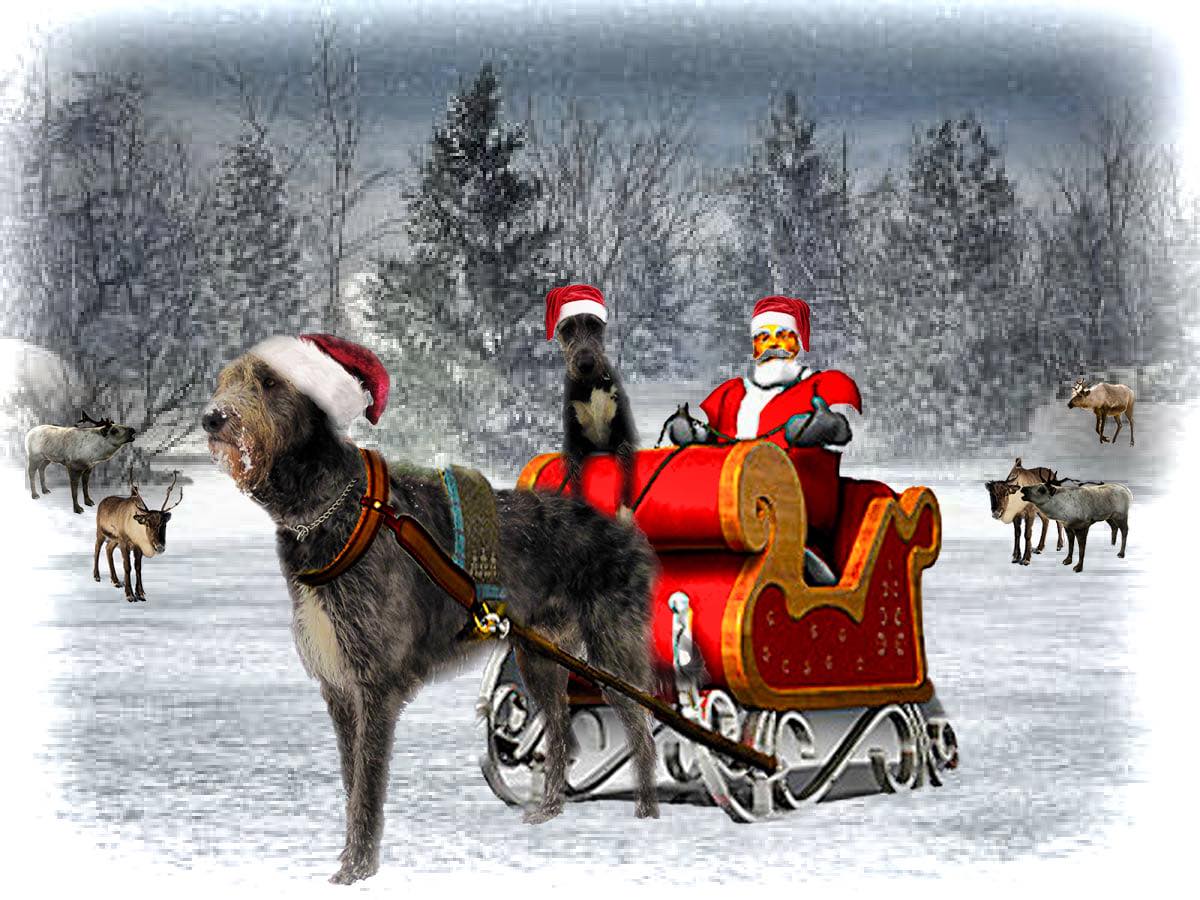 Solve Santa's New "Reindeer" jigsaw puzzle online with 88 pieces