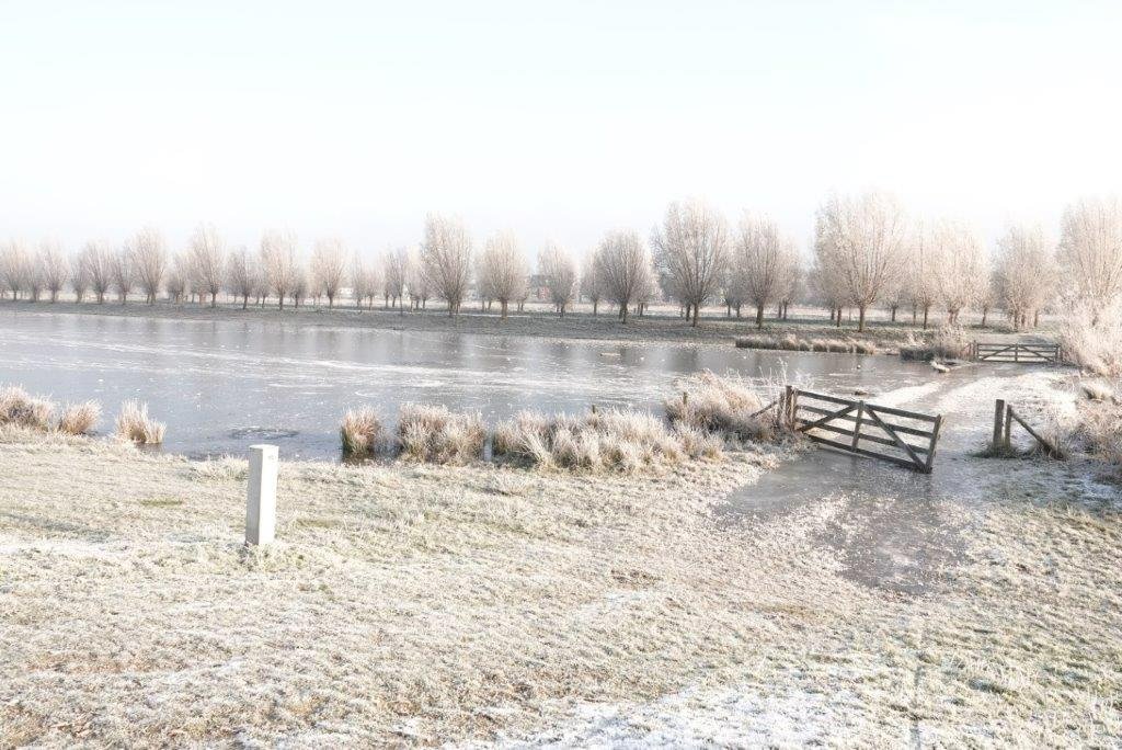 Solve Winter in Breda 2022/2023 jigsaw puzzle online with 12 pieces