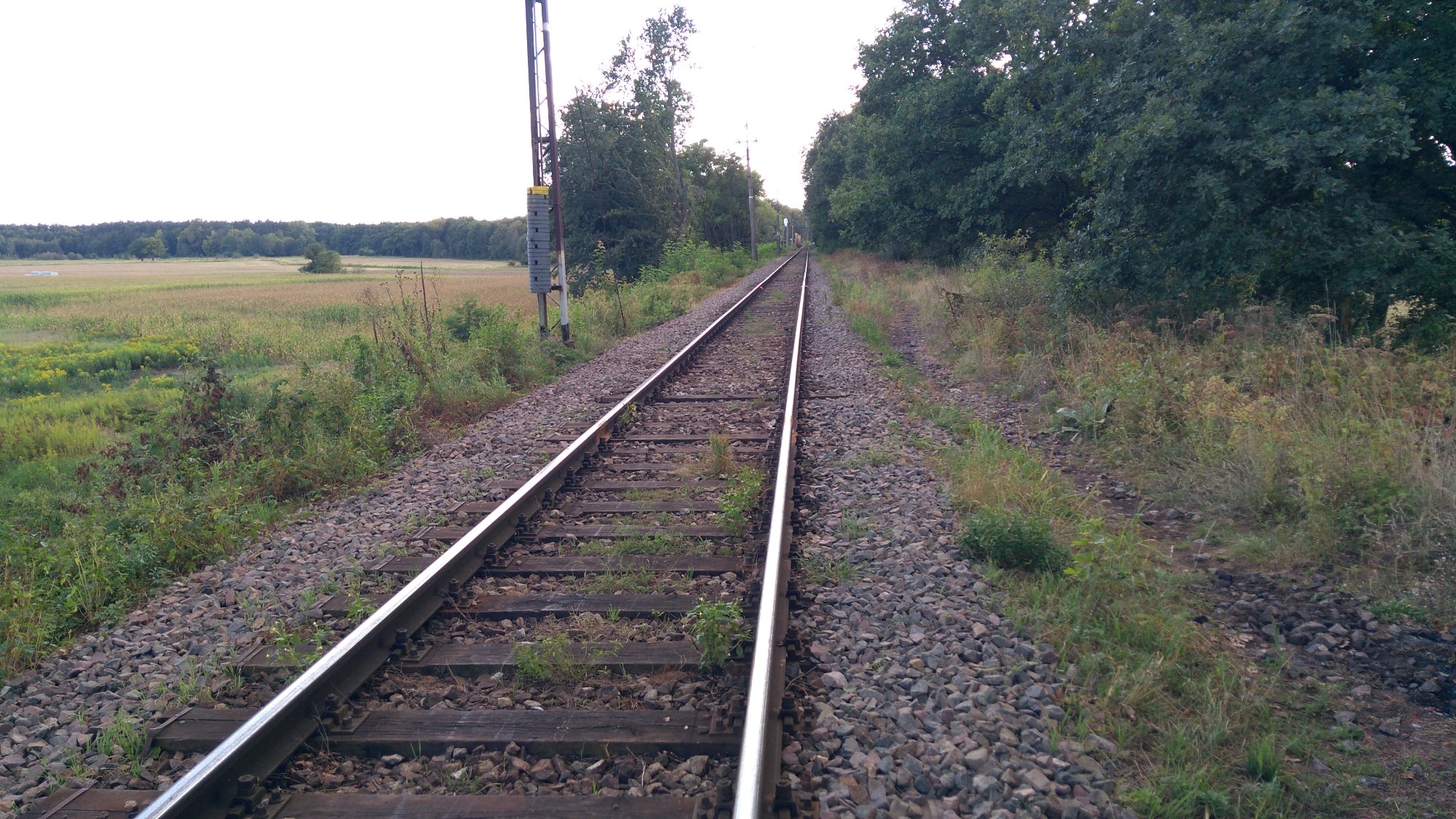 Solve Railway track jigsaw puzzle online with 120 pieces