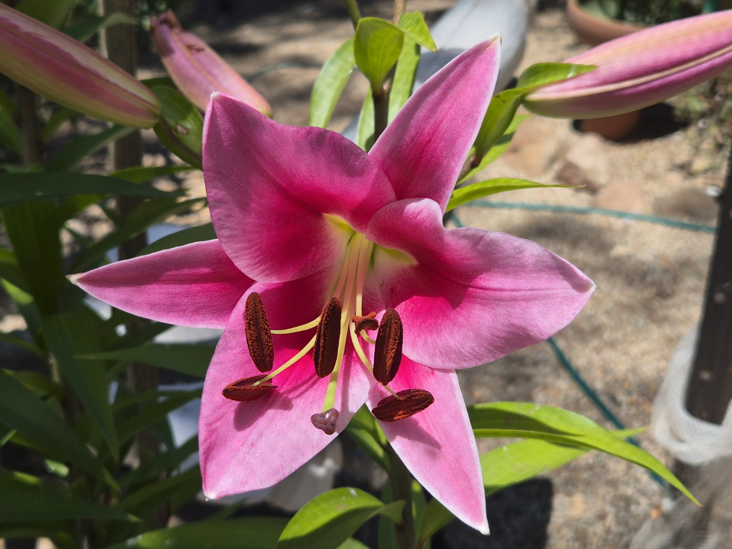 Solve Half An Hour Later jigsaw puzzle online with 35 pieces