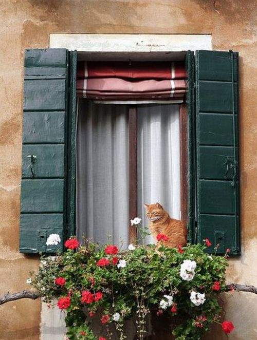 Solve BEAUTIFUL WINDOW jigsaw puzzle online with 63 pieces