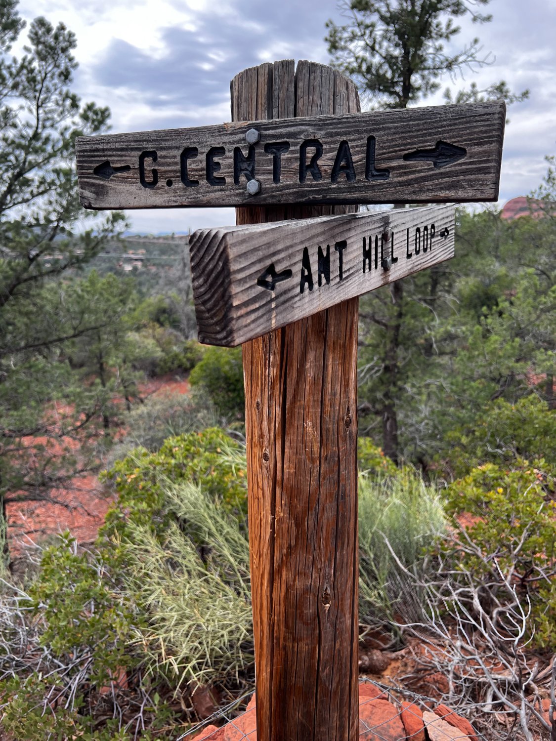 Solve Crossroad in a Sedona hiking trail jigsaw puzzle online with 130 ...