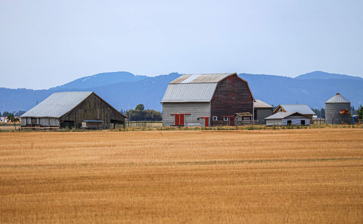 Solve FARM SCENE jigsaw puzzle online with 84 pieces