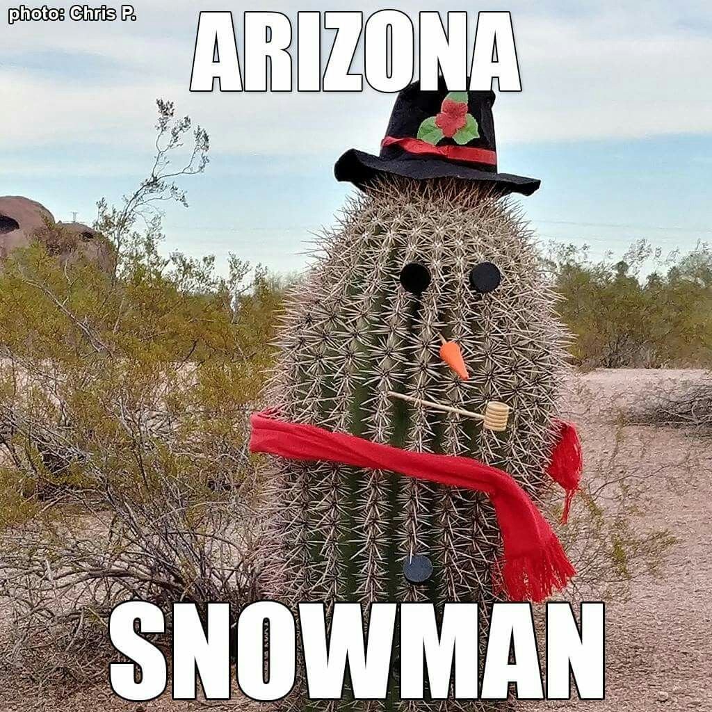 Solve Arizona Snowman jigsaw puzzle online with 9 pieces
