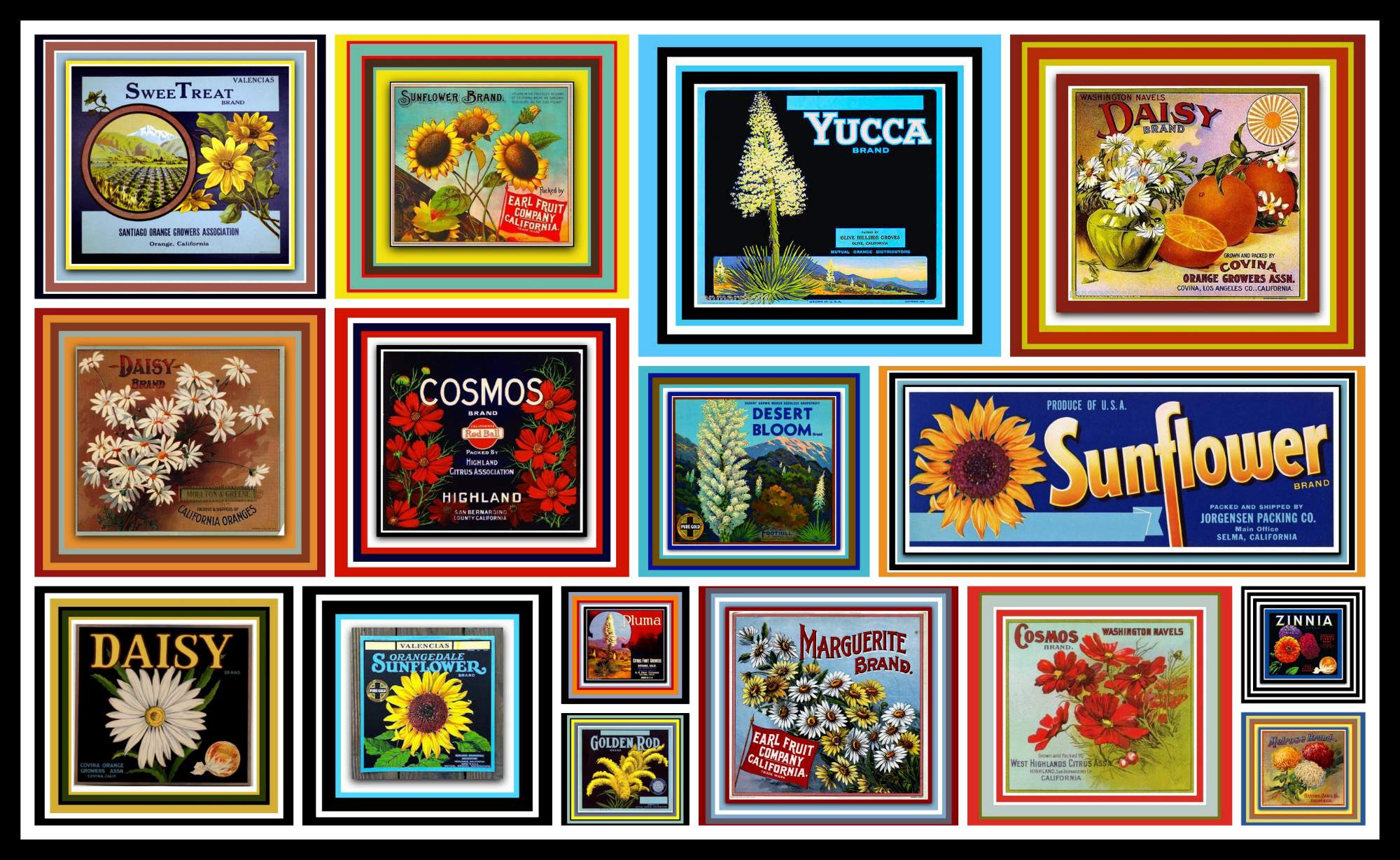 Solve Just sunshine and happiness - Vintage Floral Fruit Crate Labels ...