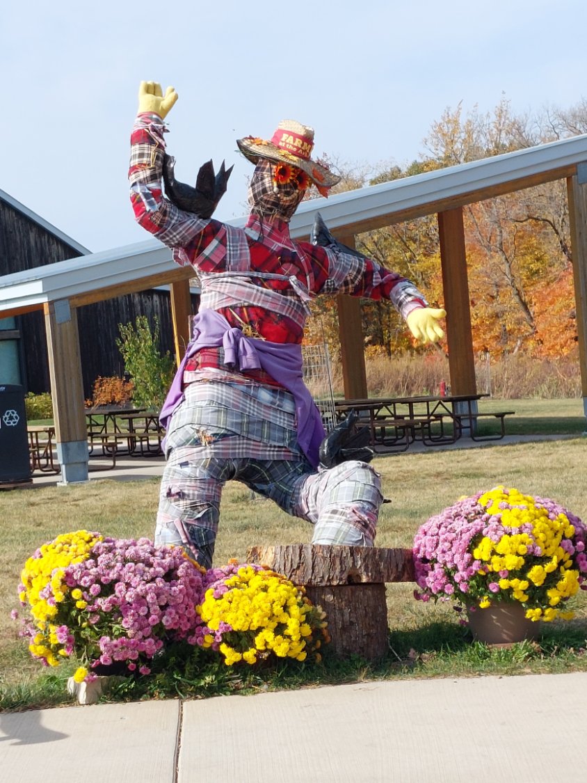 Solve Scarecrow jigsaw puzzle online with 20 pieces