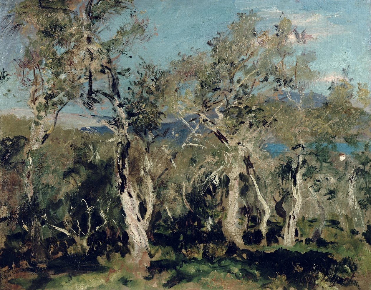 Solve John Singer Sargent - Olives, Corfu jigsaw puzzle online with 285 ...