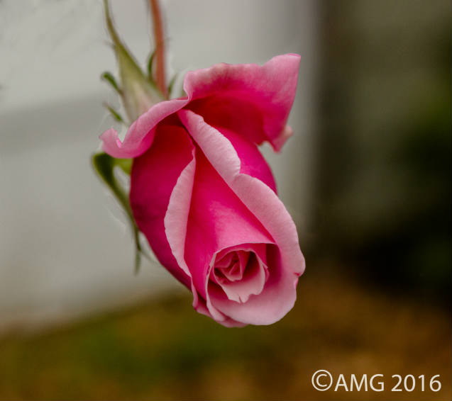 Solve More practice edit jigsaw puzzle online with 9 pieces