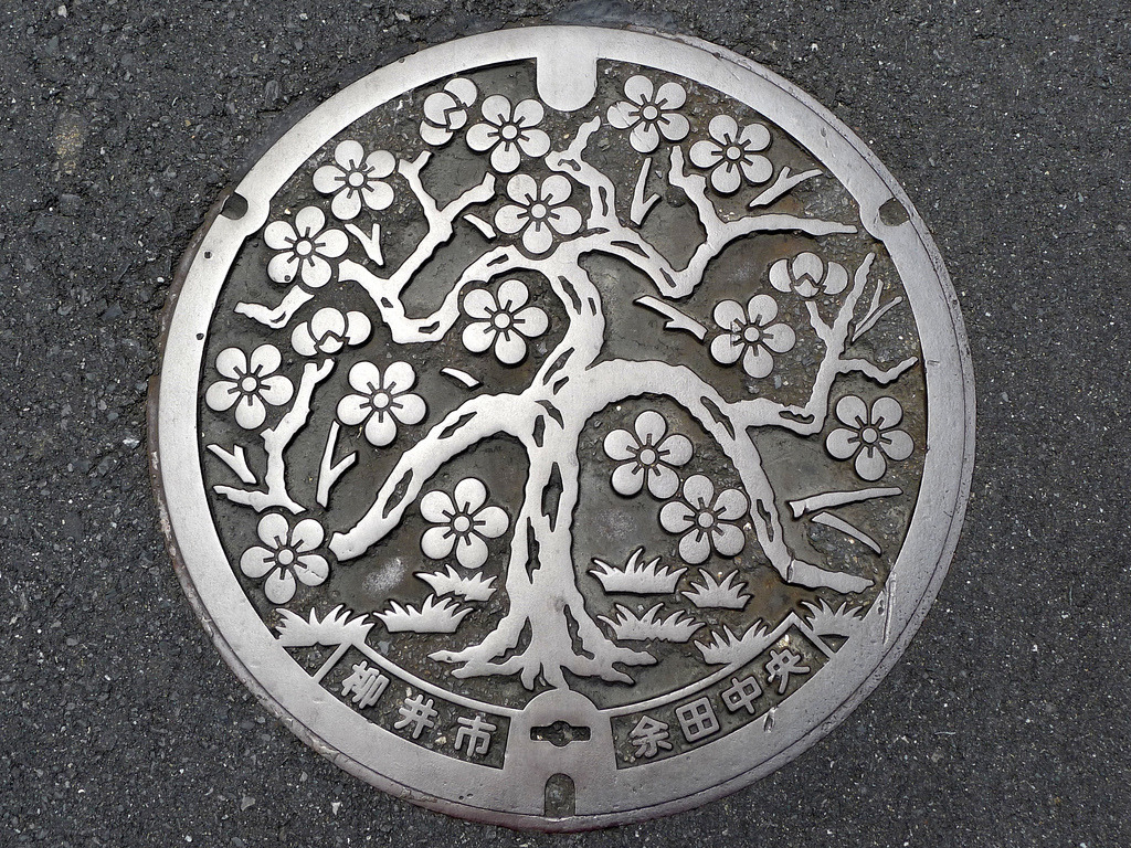 Solve A manhole cover in Japan. jigsaw puzzle online with 48 pieces