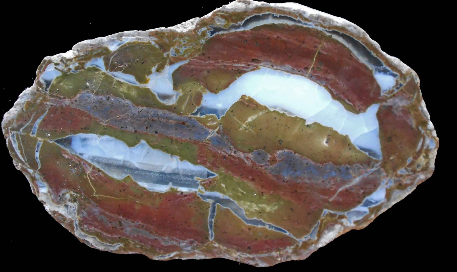 Solve The cat and mouse Play hide and seek ~ Roaming the house The game ...