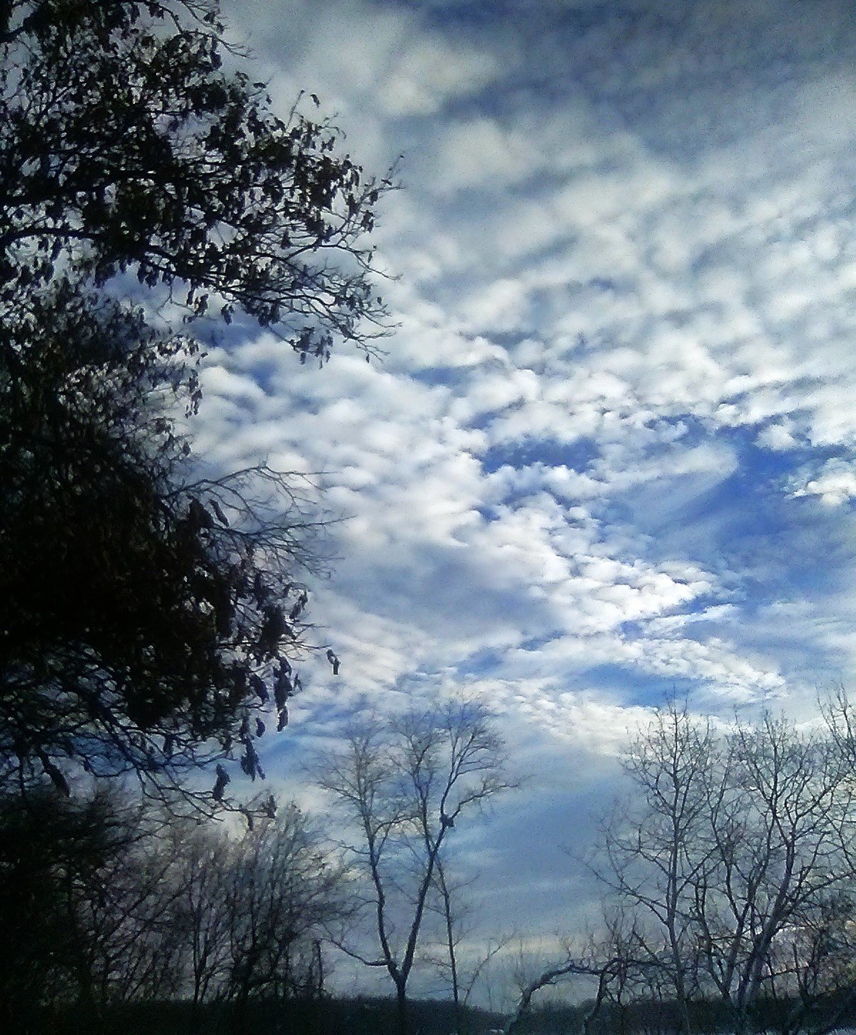 Solve Beautiful Blue Sky! 01-21-24 jigsaw puzzle online with 168 pieces