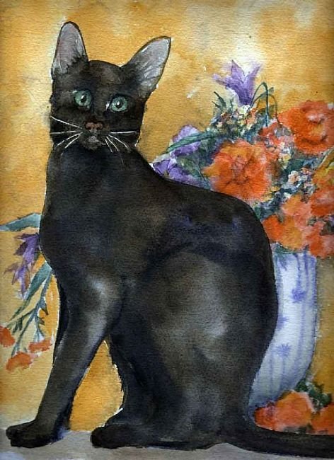 Solve Shadow jigsaw puzzle online with 70 pieces