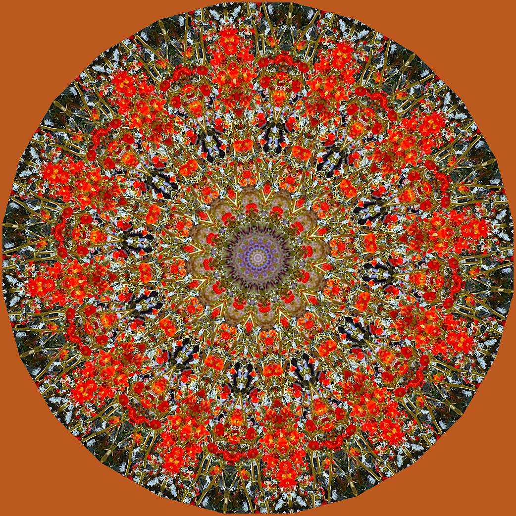 Solve #1 very small jigsaw puzzle online with 25 pieces