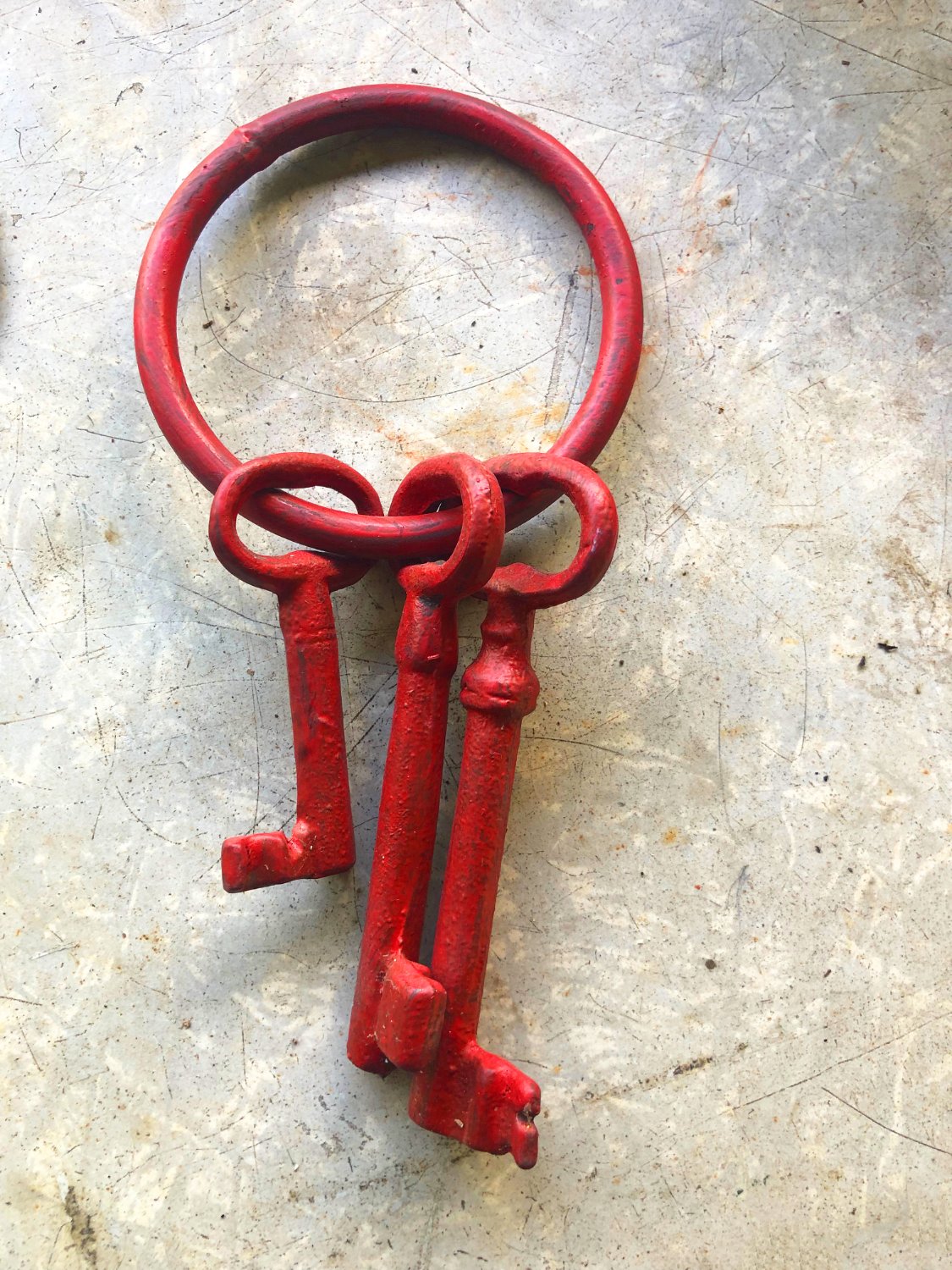 Solve Have you seen the keys? jigsaw puzzle online with 48 pieces