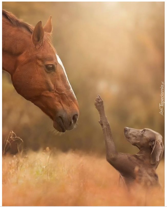Solve Some of the best friendships are formed by accident, but they ...