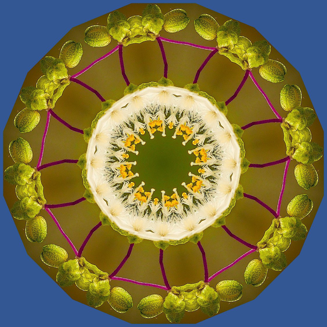 Solve #2 very small jigsaw puzzle online with 25 pieces