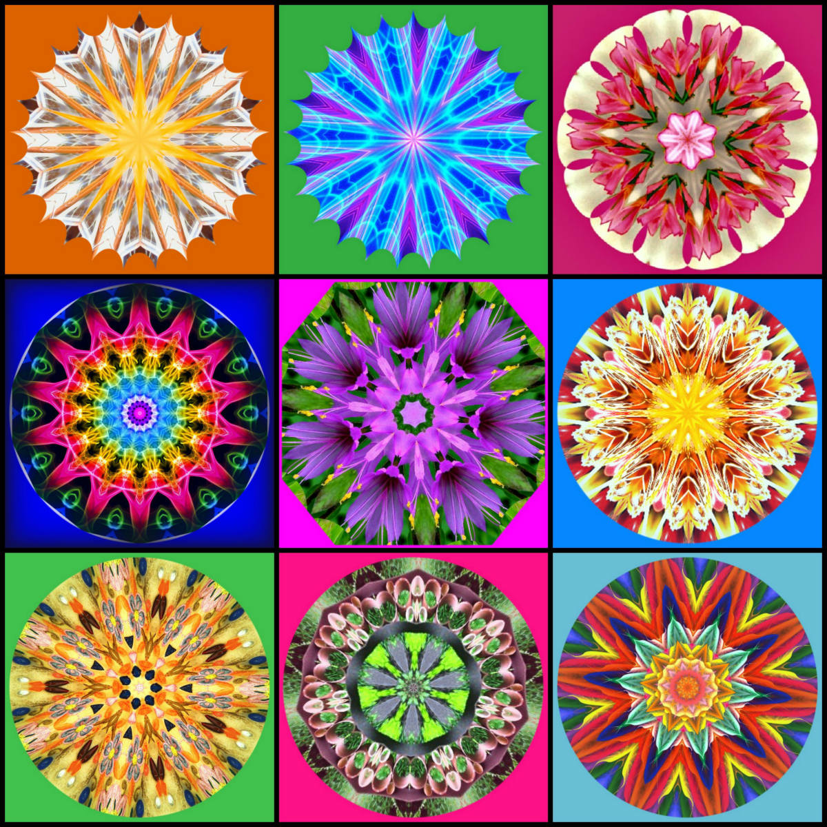 Solve Collage 3x3 jigsaw puzzle online with 225 pieces