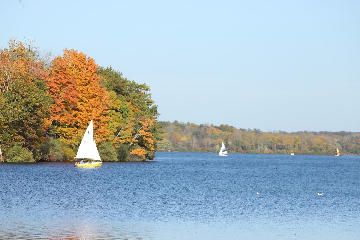 Solve Sailing into Fall jigsaw puzzle online with 77 pieces