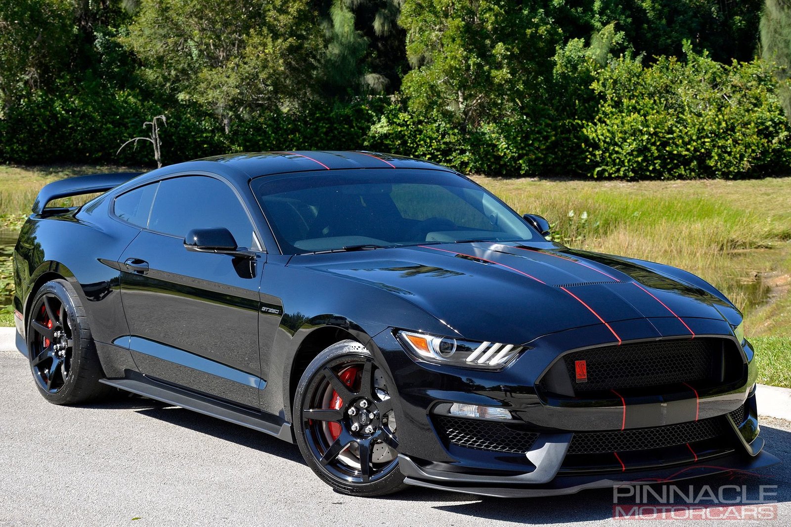 Solve 2017 GT 350R jigsaw puzzle online with 260 pieces