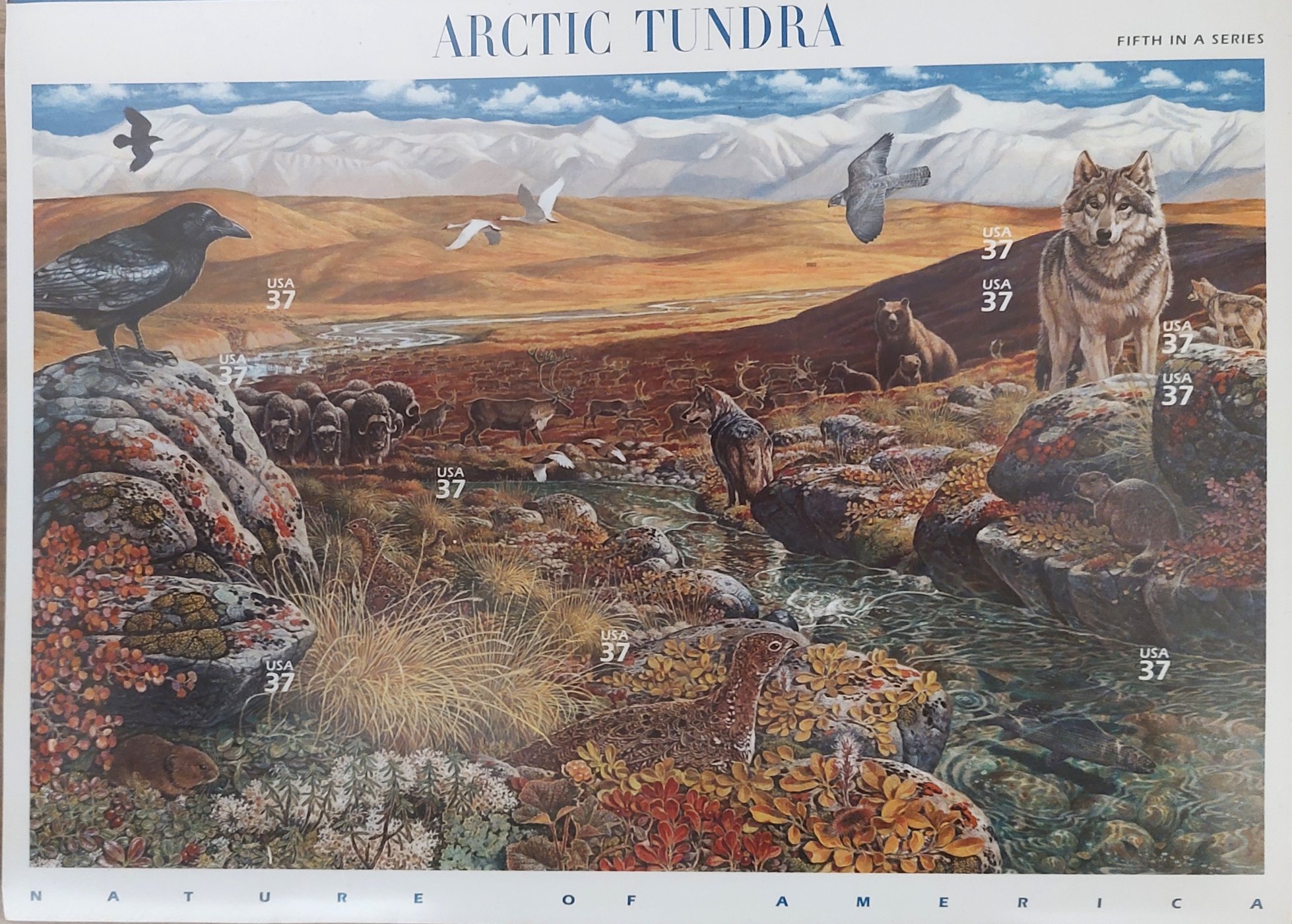 Jigsaw Puzzle | Too pretty to use | 70 pieces | Jigidi