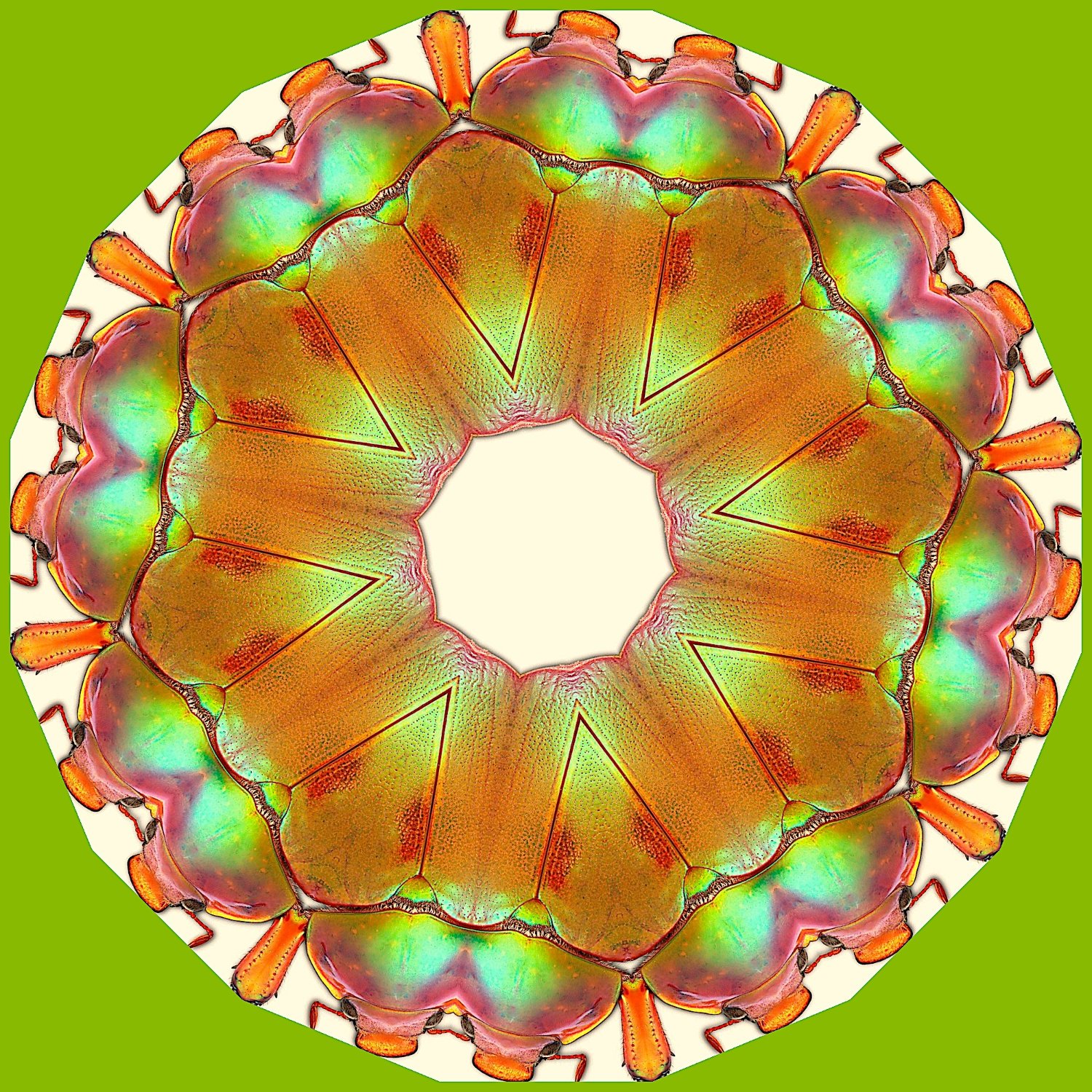 Solve #1 large jigsaw puzzle online with 144 pieces