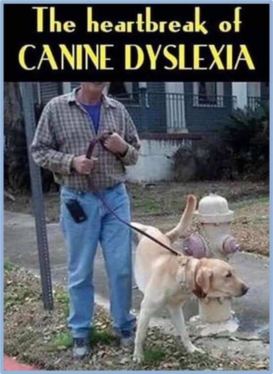 Solve Best To Wear A Slicker When Walking The Dyslexic Dog! jigsaw ...