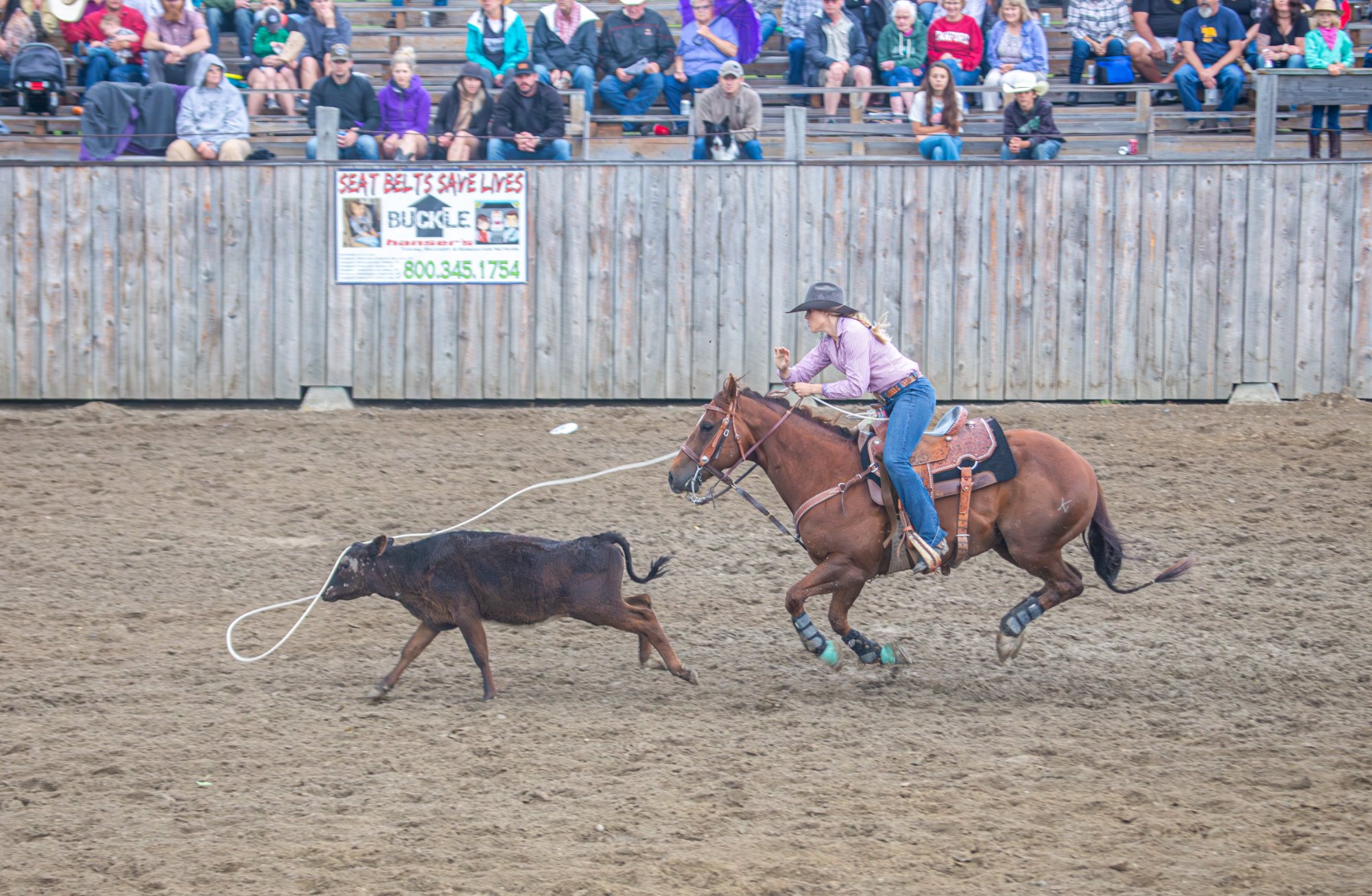 Solve "ROPE EM COWGIRL" jigsaw puzzle online with 96 pieces
