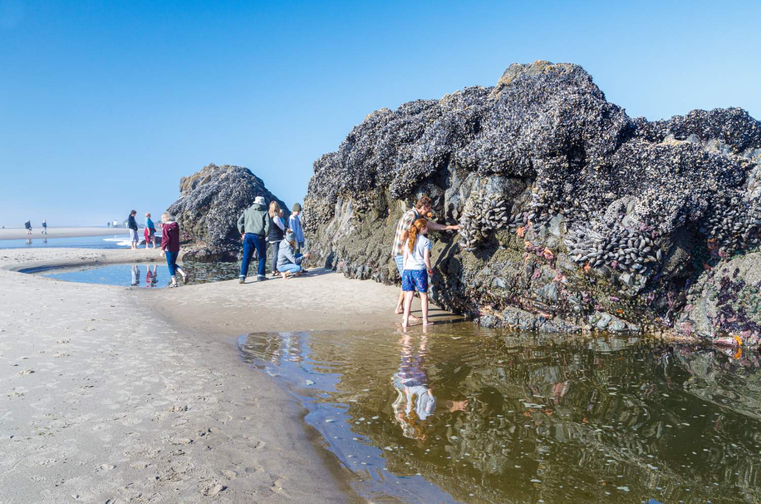 Solve TIDE POOLS jigsaw puzzle online with 96 pieces
