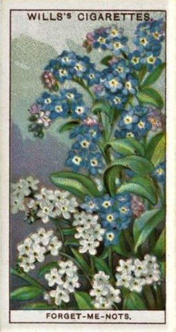 Jigsaw Puzzle | Forget-Me-Nots / Mill's Cigarette Cards of the 1920s ...