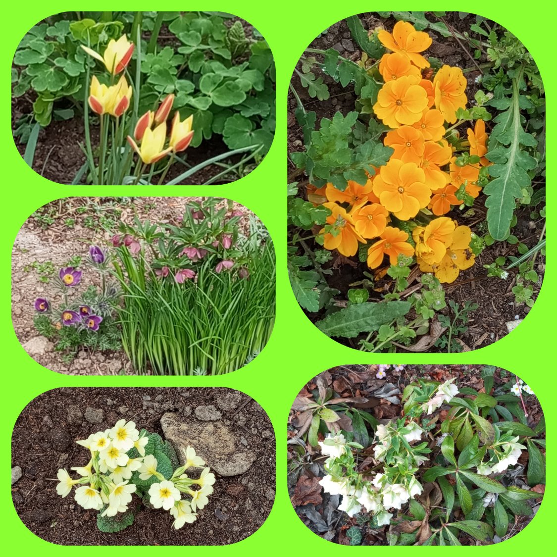 Solve 2025 - Jaro / Spring jigsaw puzzle online with 9 pieces