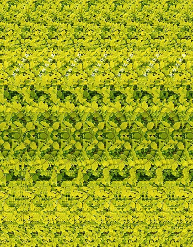 Solve 03/08/24: Another Magic Eye puzzle: say what you see after you do ...
