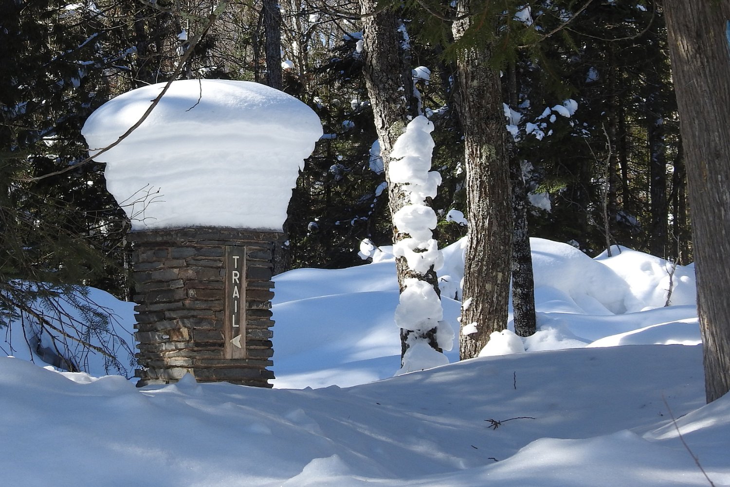 Solve a "little" snow! jigsaw puzzle online with 12 pieces