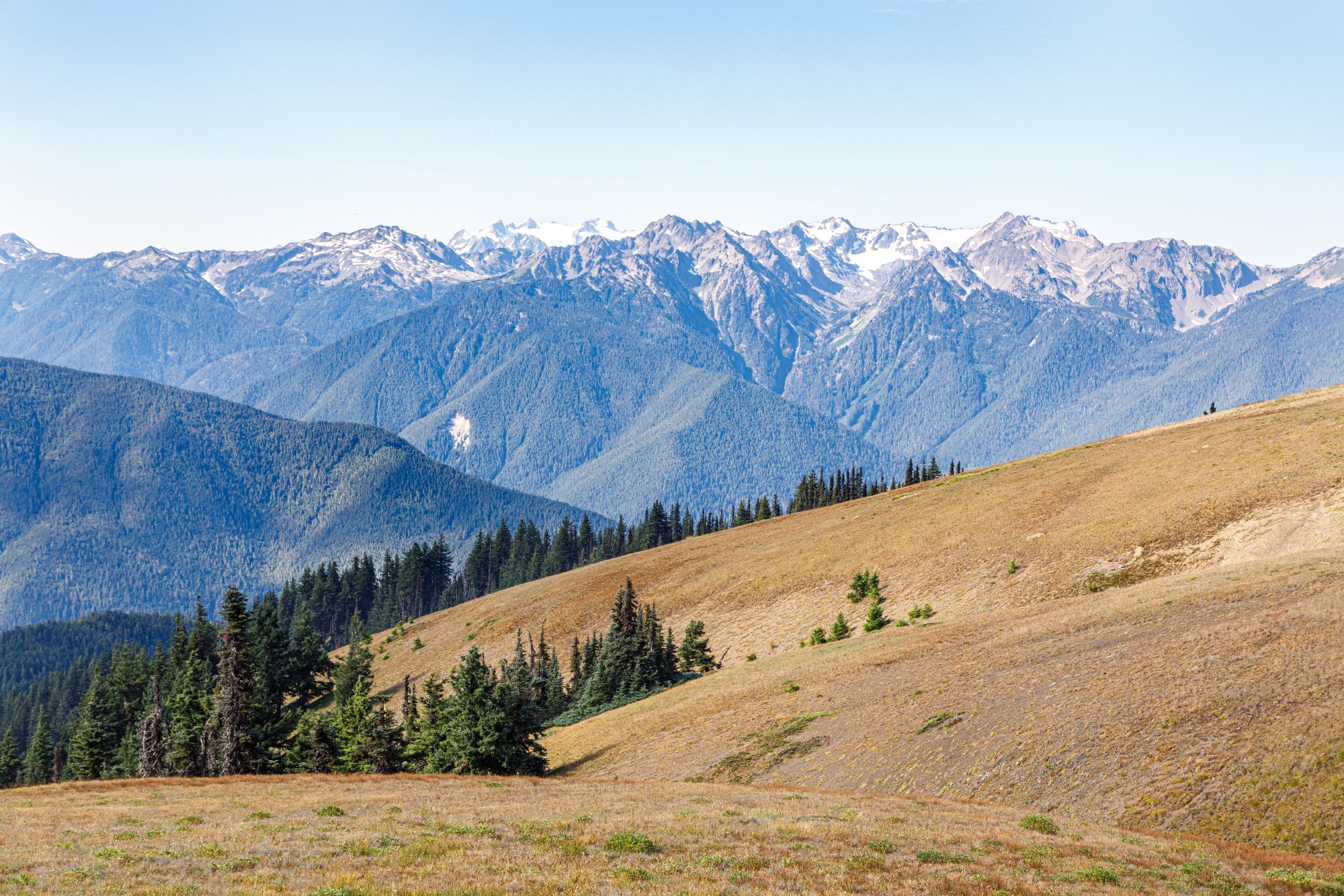 Solve HURRICANE RIDGE jigsaw puzzle online with 96 pieces